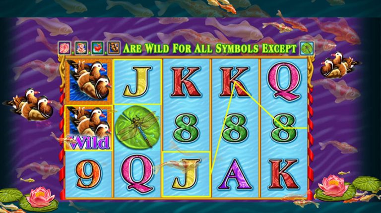 Play Lotus Flower Slots Online - A-Play Online